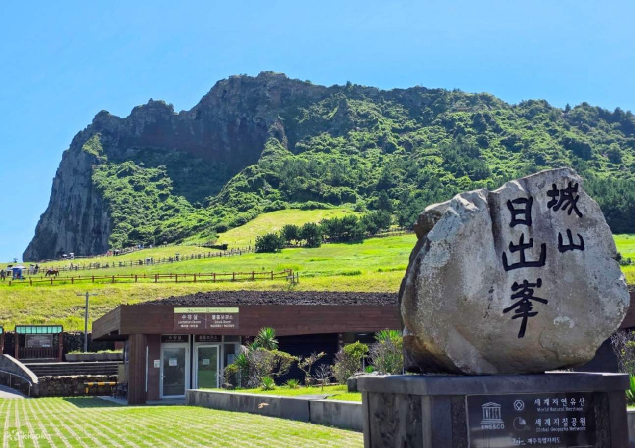 [For Cruise Guests] Jeju: UNESCO Sites & Haenyeo Culture Experience ...